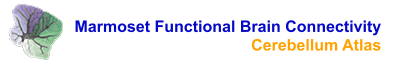 Marmoset Functional Connectivity - Cerebellum